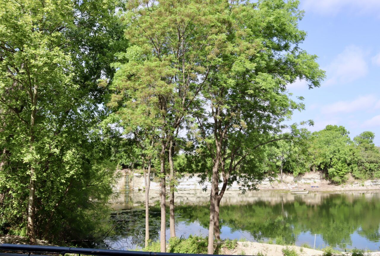 Quarry Lake Restoration Through Expert Tree Care in Dallas - Southern ...